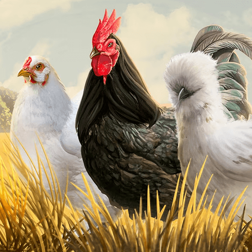 Chickens Badge Collection: Week One